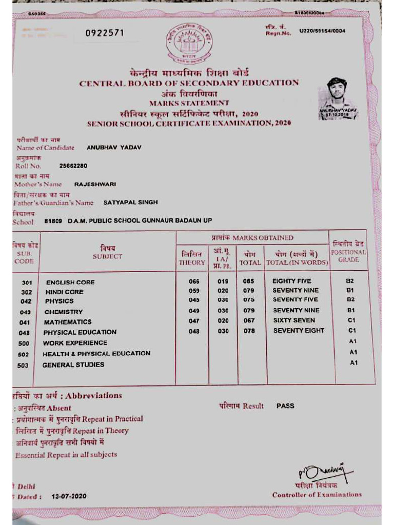 12 Marksheet - Compressed | PDF