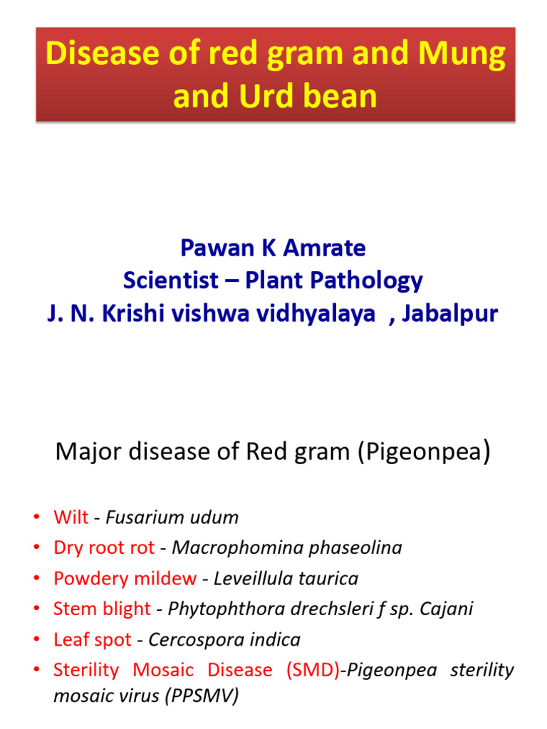 Red Gram and Mung Bean Diseases Guide | PDF | Branches Of Botany ...