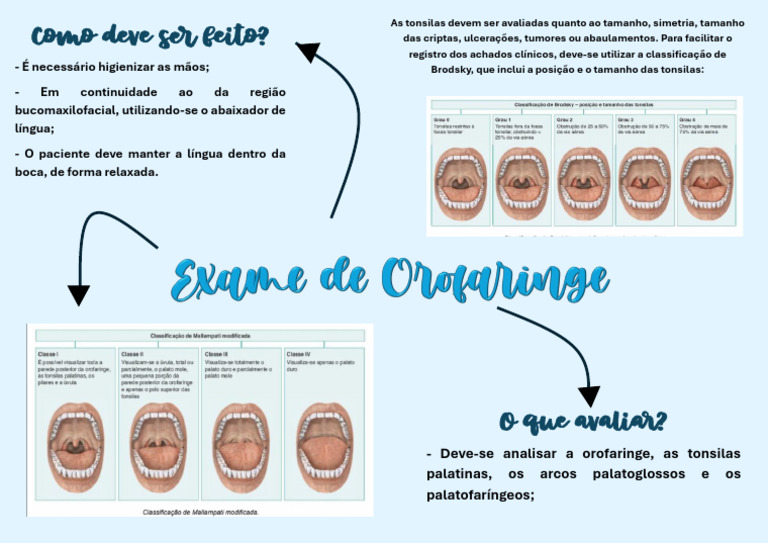 Mapa Mental - Orofaringe | PDF