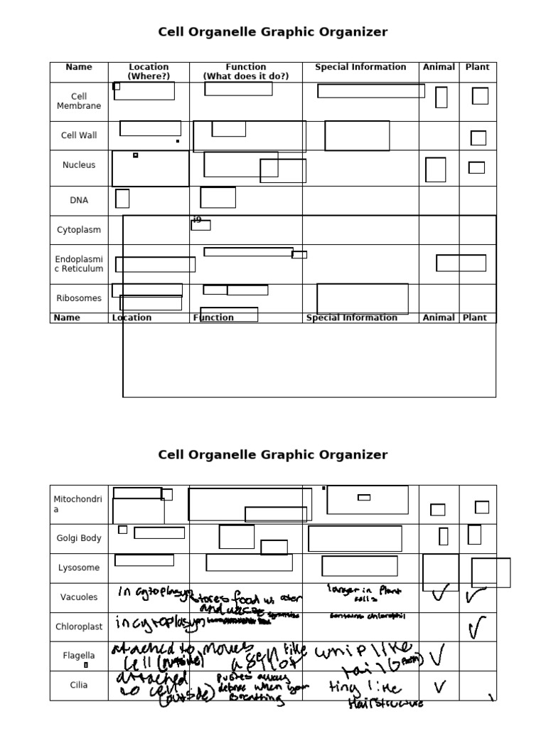 Cell Organelle Graphic Organizer - (AutoRecovered) | PDF