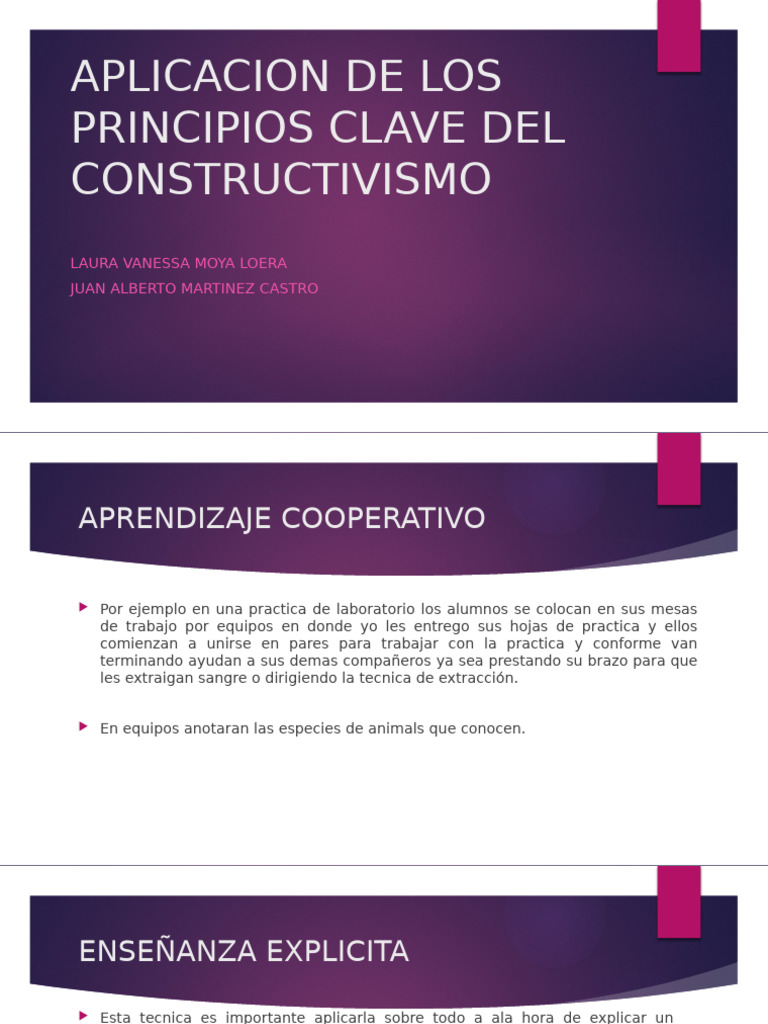 Aplicacion de Los Principios Clave Del Constructivismo | PDF | Constructivismo (filosofía de la ...
