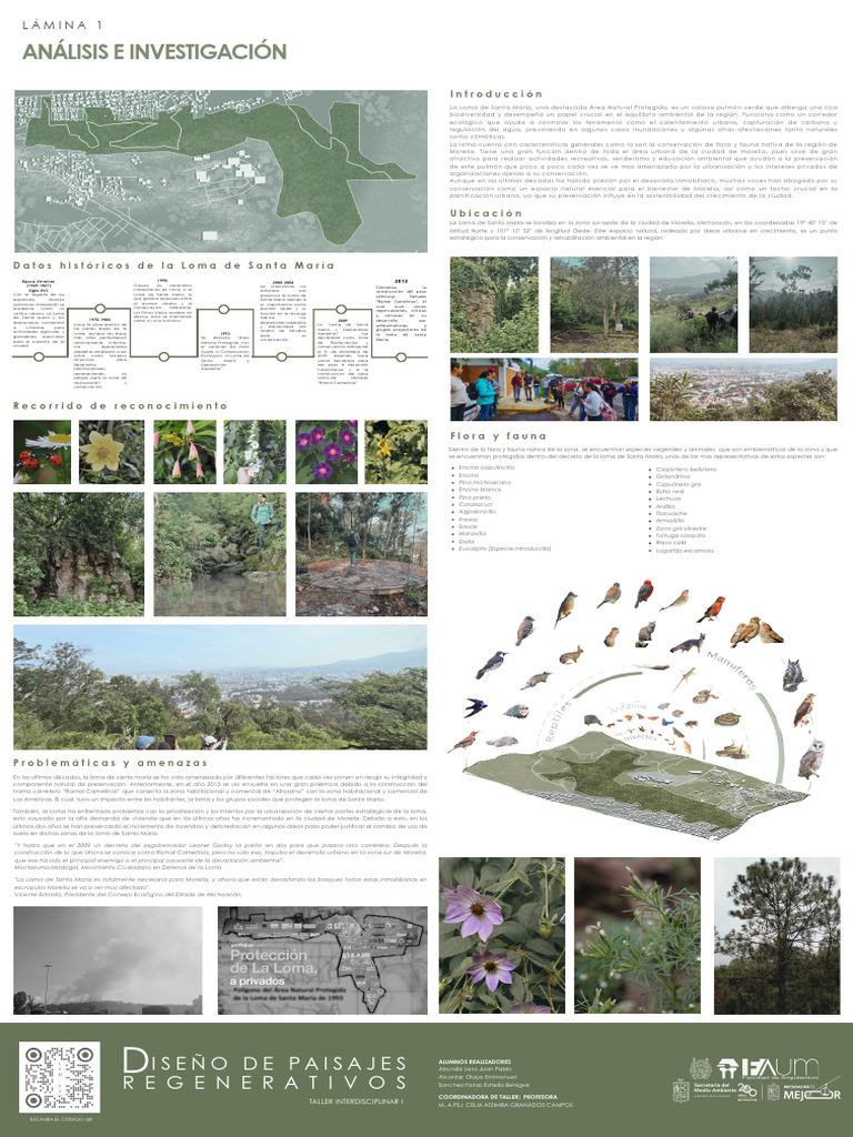 Laminas LSM 03 | PDF | Entorno natural | Ciencias de la Tierra