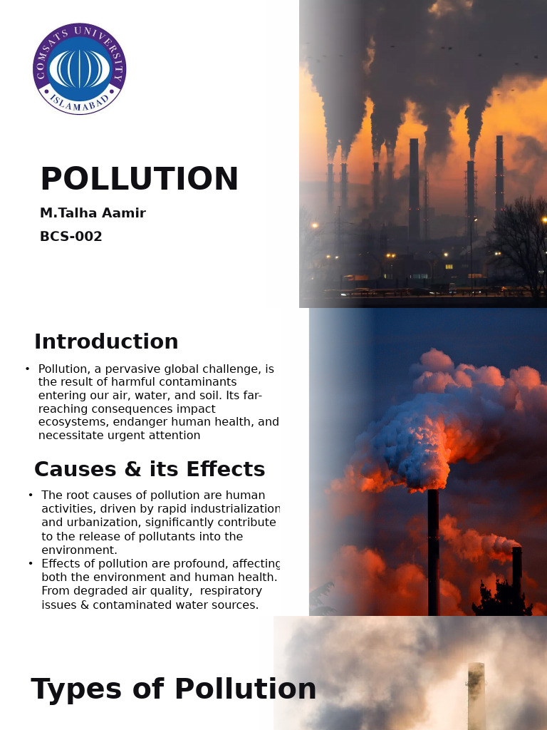 Understanding Pollution Causes Effects and Solutions | PDF | Pollution | Water Pollution