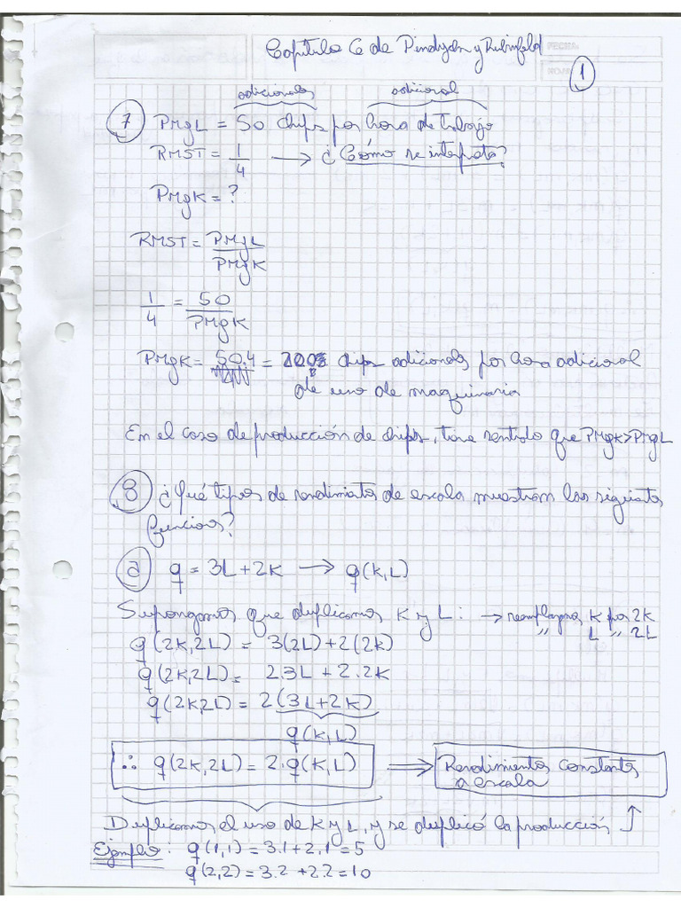 Ejercicios - Capítulo 6 (Pindyck y Rubinfeld) | PDF