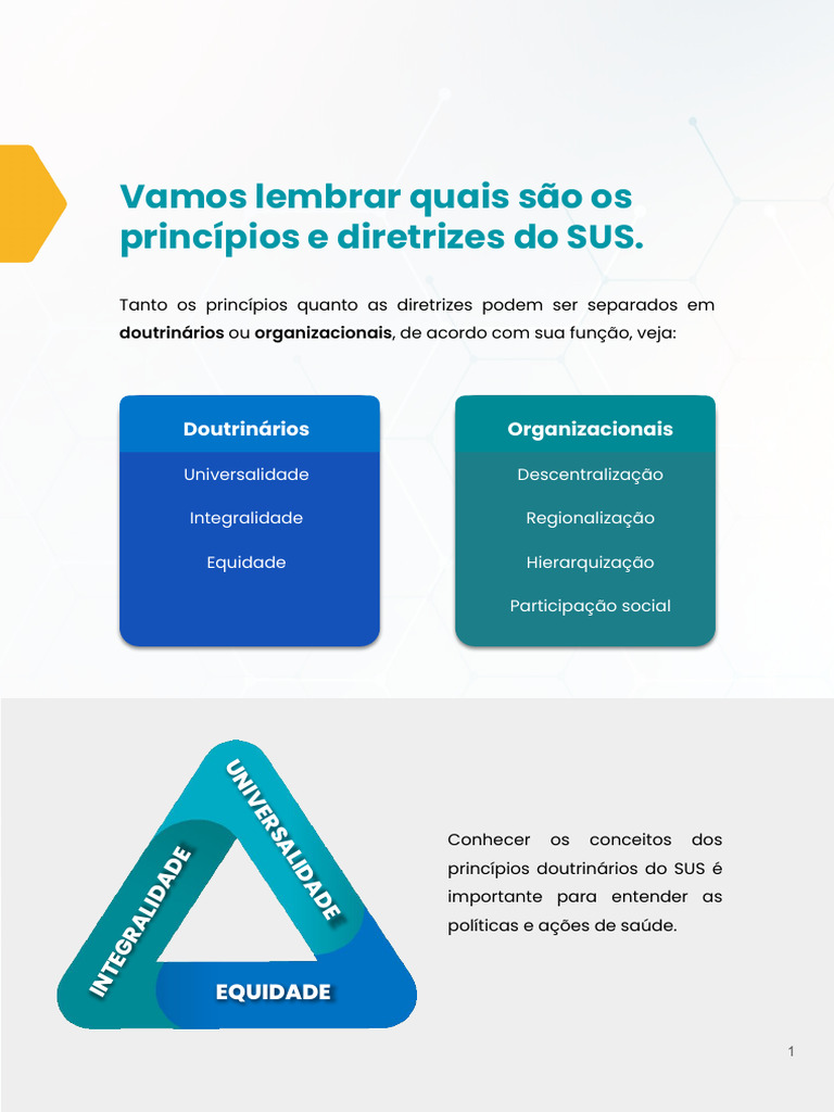 Princípios e Diretrizes do SUS | PDF | Justiça | Crime e Violência
