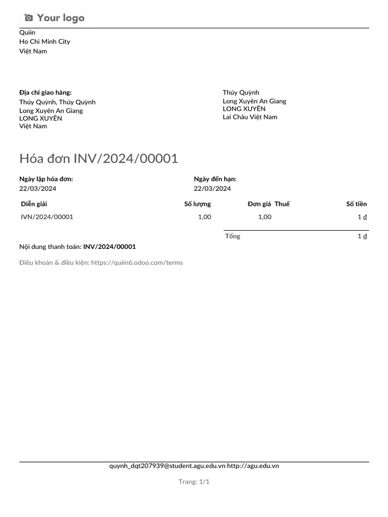 Inv 2024 00001 | PDF