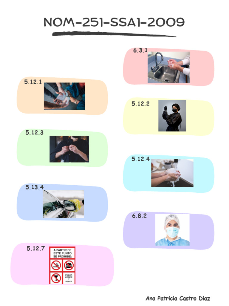 Nom 251 Ssa1 2009.ac. | PDF