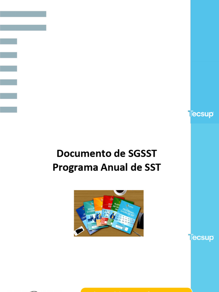 Sesión 13 - Programa Anual de SST | PDF