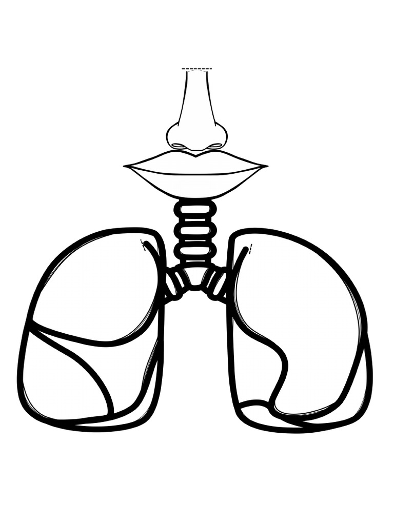 Sistema Respirat Rio 3d Dropbox | PDF