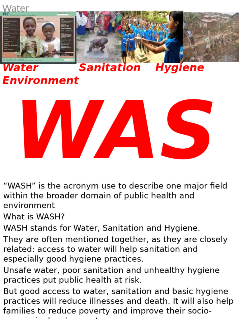 Wash | PDF