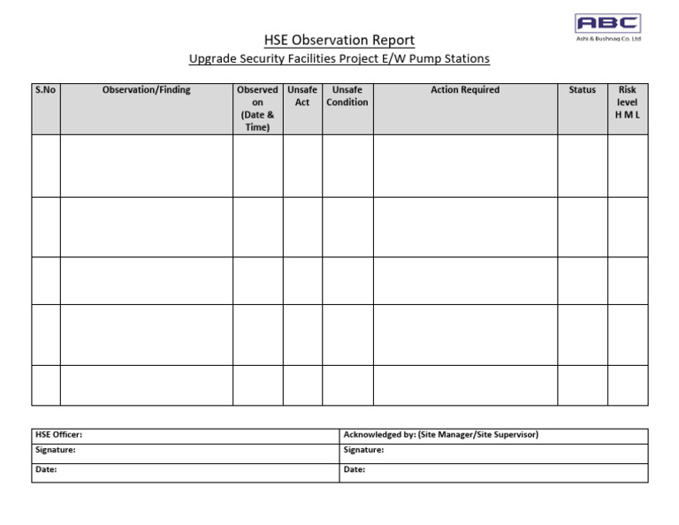 HSE Observation Format | PDF