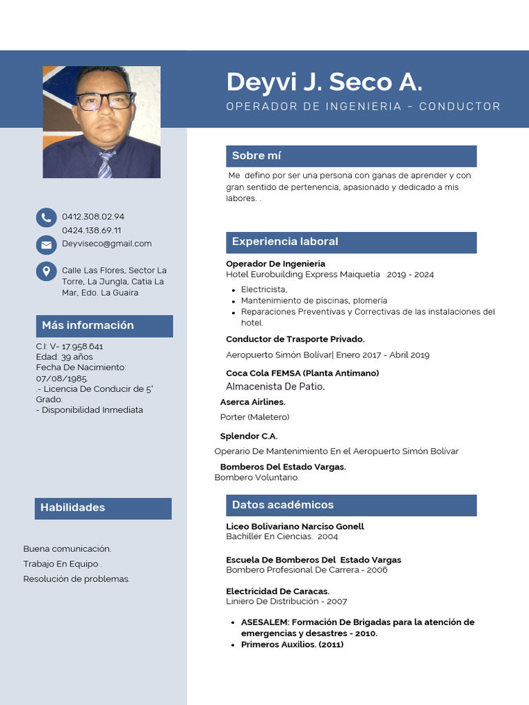 Perfil Profesional de Deyvi Seco | PDF