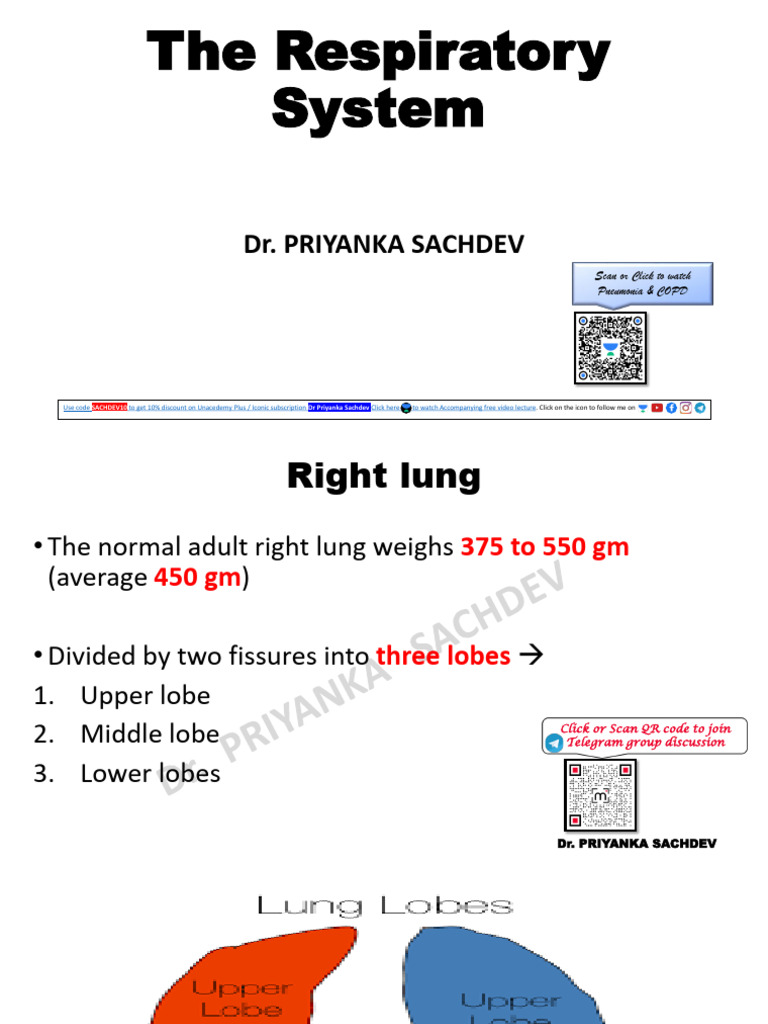 Respiratory System Pathology Overview | PDF | Lung | Respiratory Tract