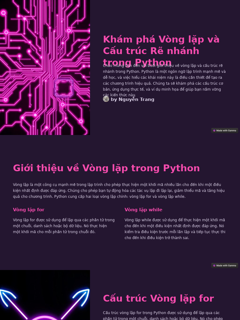 Kham Pha Vong Lap Va Cau Truc Re Nhanh Trong Python | PDF