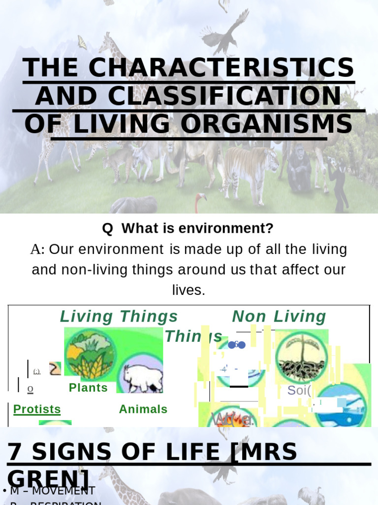 Characteristics and Classification of Living Organisms | PDF | Cell ...