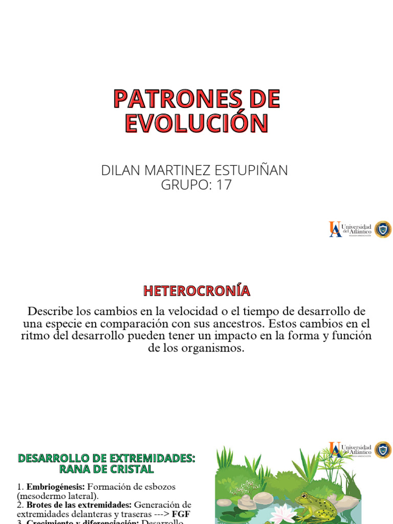 Heterocronía - Ejemplos (Dilan M) - 20241116 - 090315 - 0000 | PDF ...