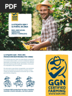 Guía de Registro en el Portal GGN | PDF | Factura