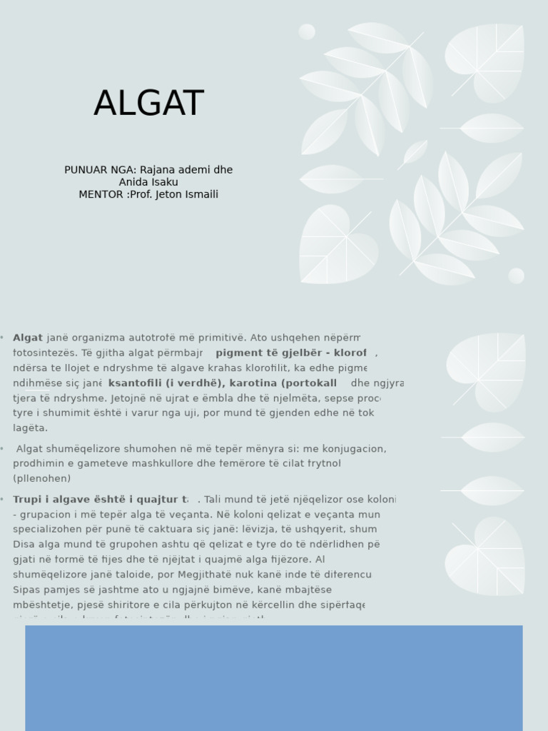 ALGAT | PDF