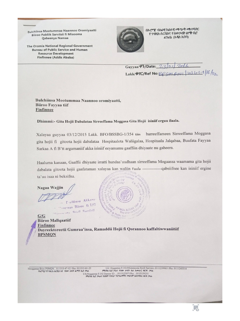 Caasaa MQH haaraa | PDF