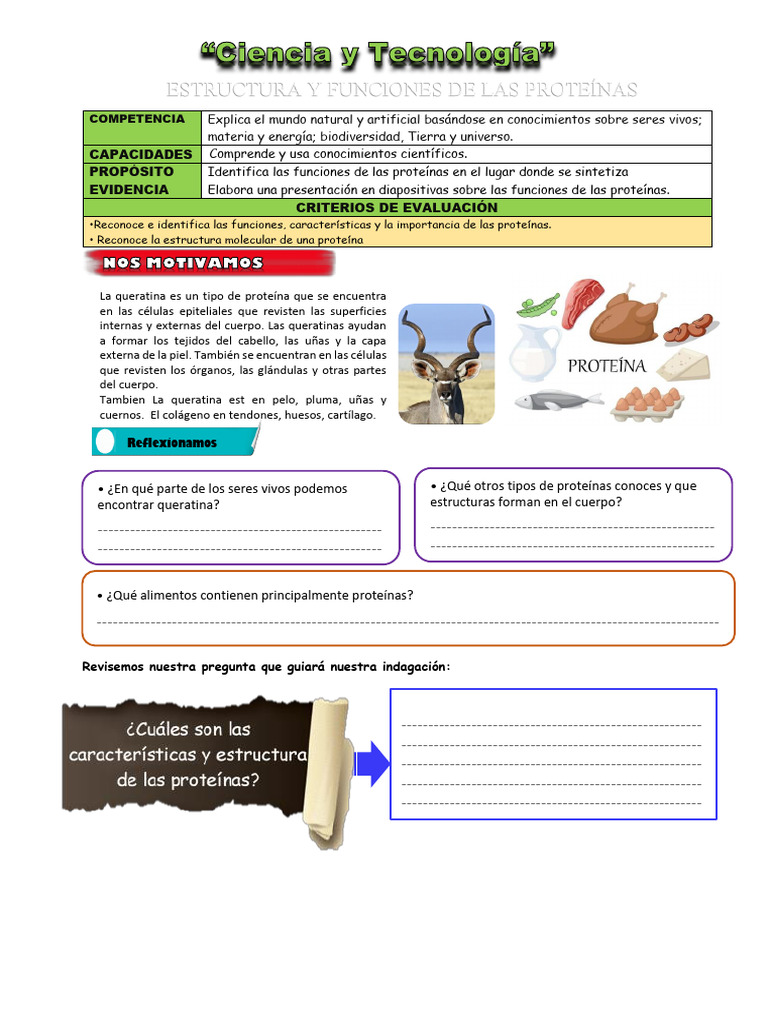 C-3º ACT 4 CYT UND 7 Proteinas | PDF | Proteínas | Aminoácidos