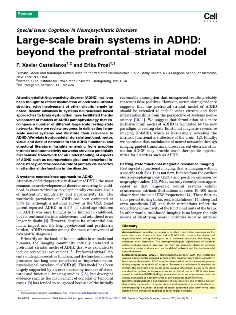 ADHD Large Scale Brain Systems | PDF | Attention Deficit Hyperactivity ...