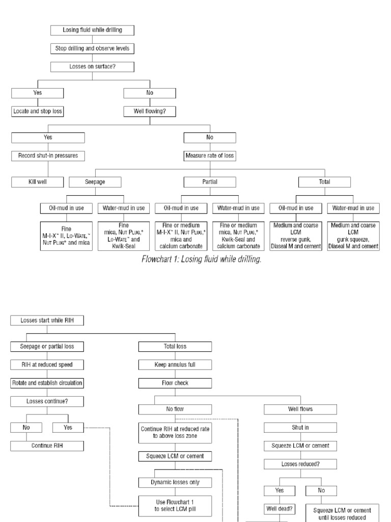 01C2b. Losses While Drilling & Tripping Flow Charts | PDF