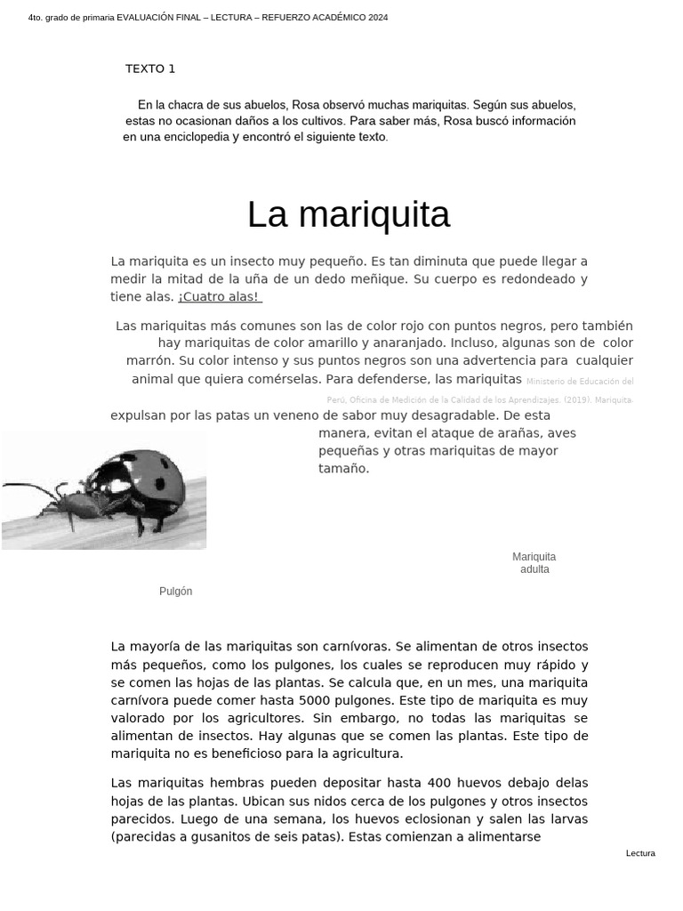 Prueba Final - 4 Grado de Primaria | PDF | Coccinellidae | Insectos