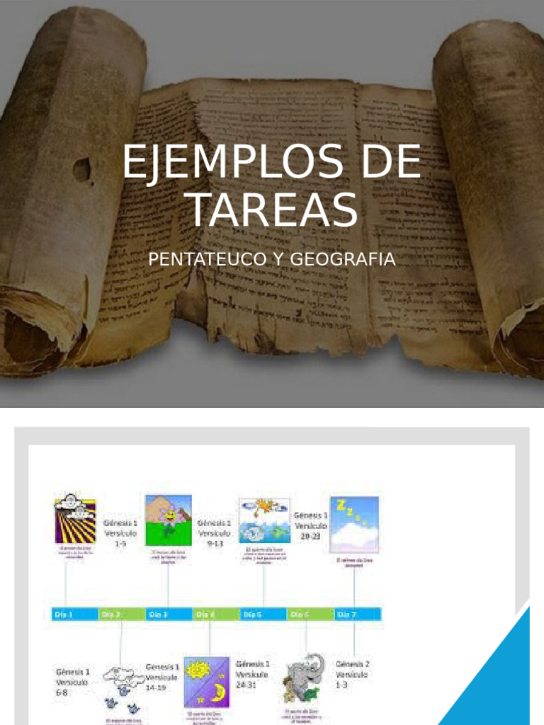 Ejemplos de Tareas | PDF
