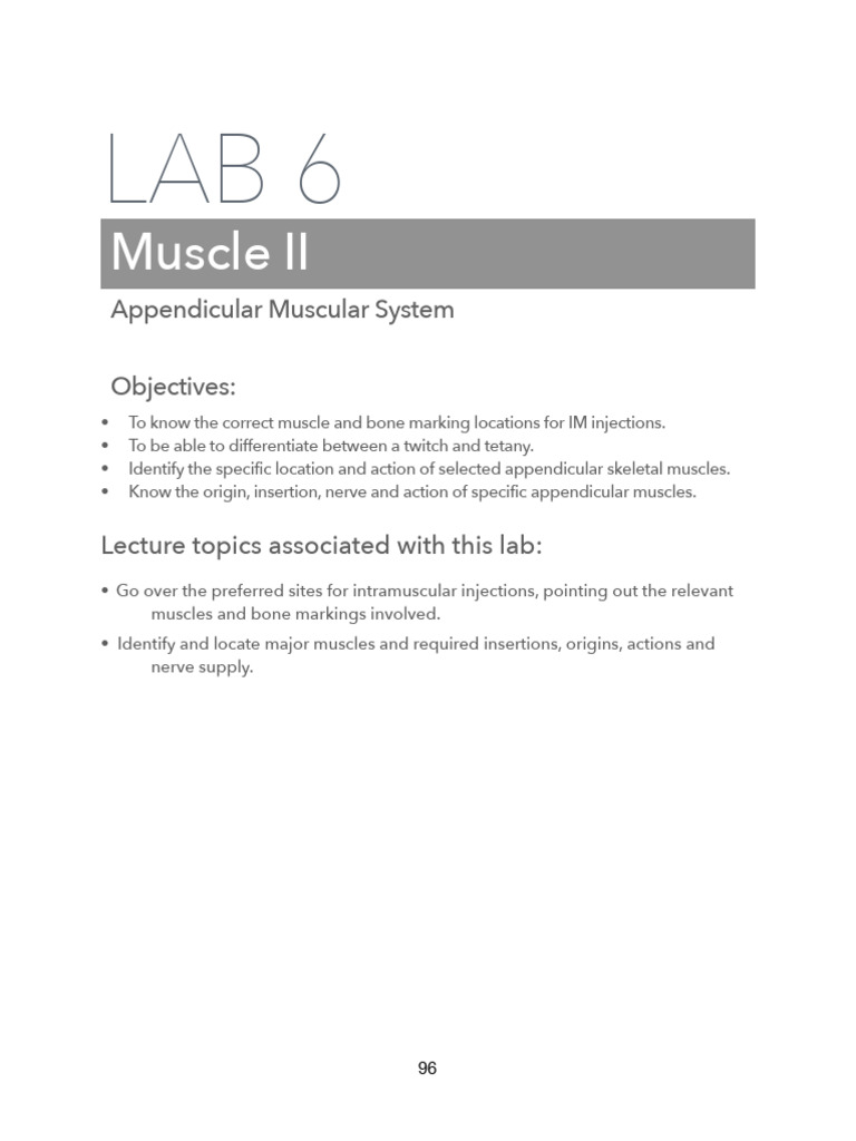 BIO 111 LAB 6 | PDF | Human Leg | Arm