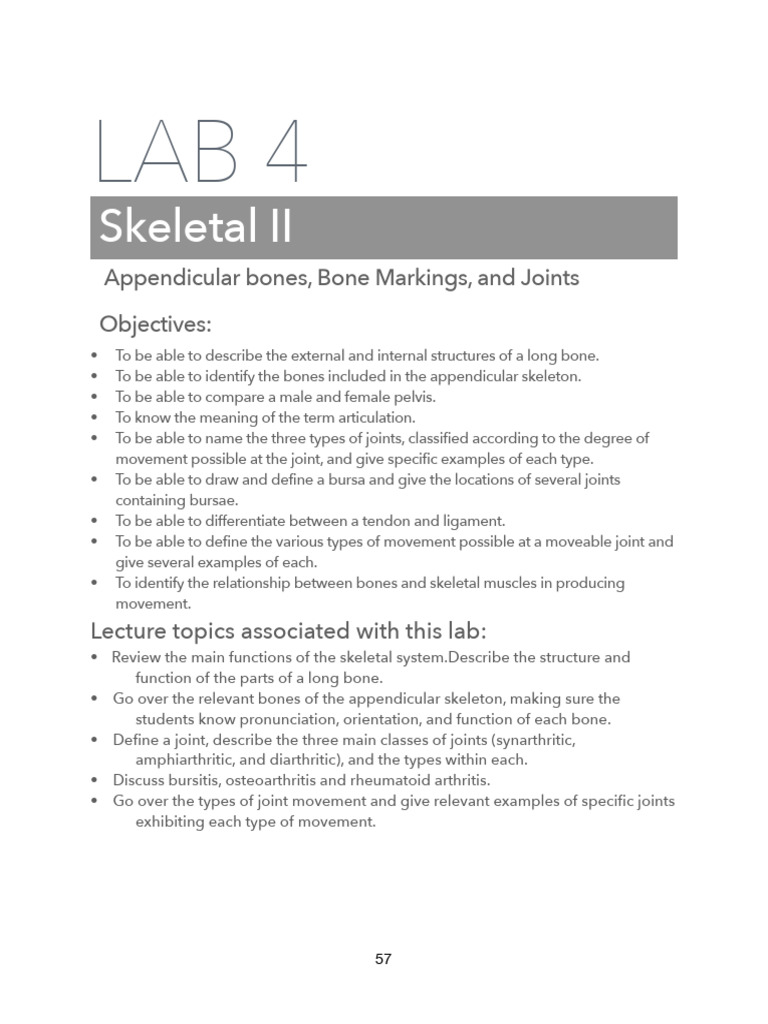 BIO 111 LAB 4 | PDF | Anatomical Terms Of Motion | Pelvis