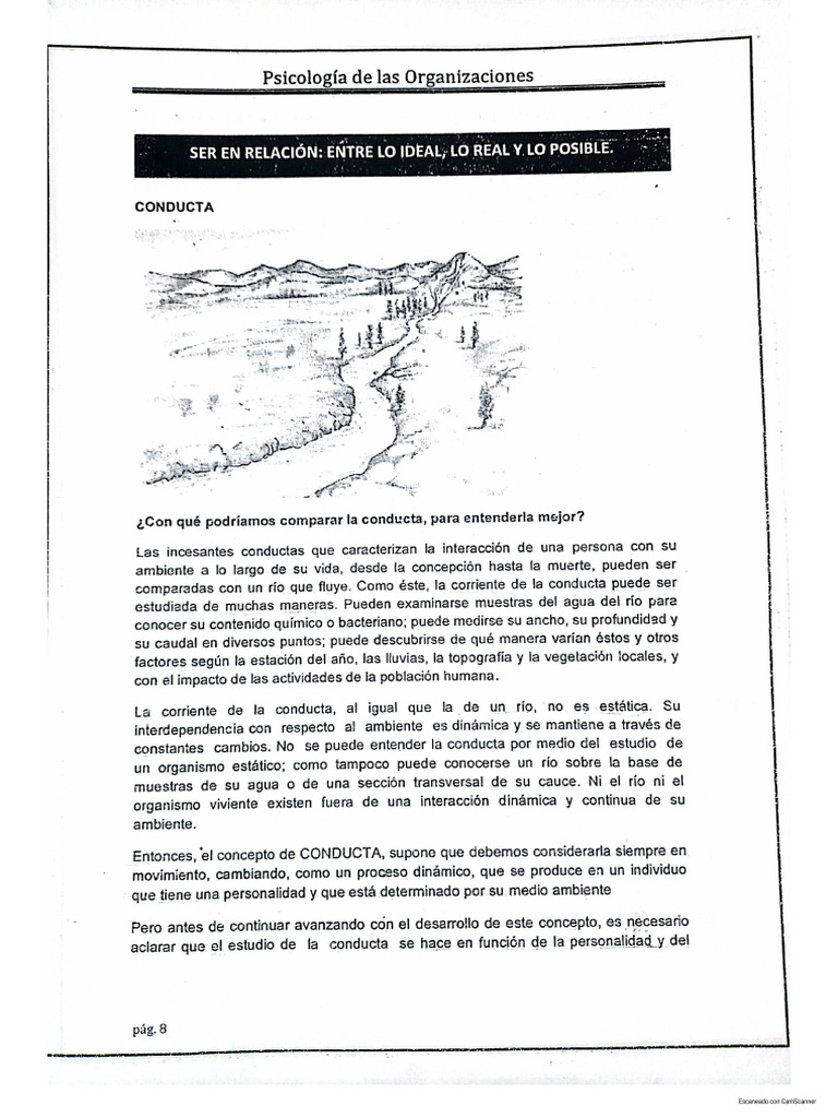 Conducta, Motivación y Actitud Psicológica | PDF