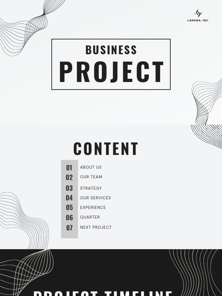 Larana Inc. Business Project Overview | PDF