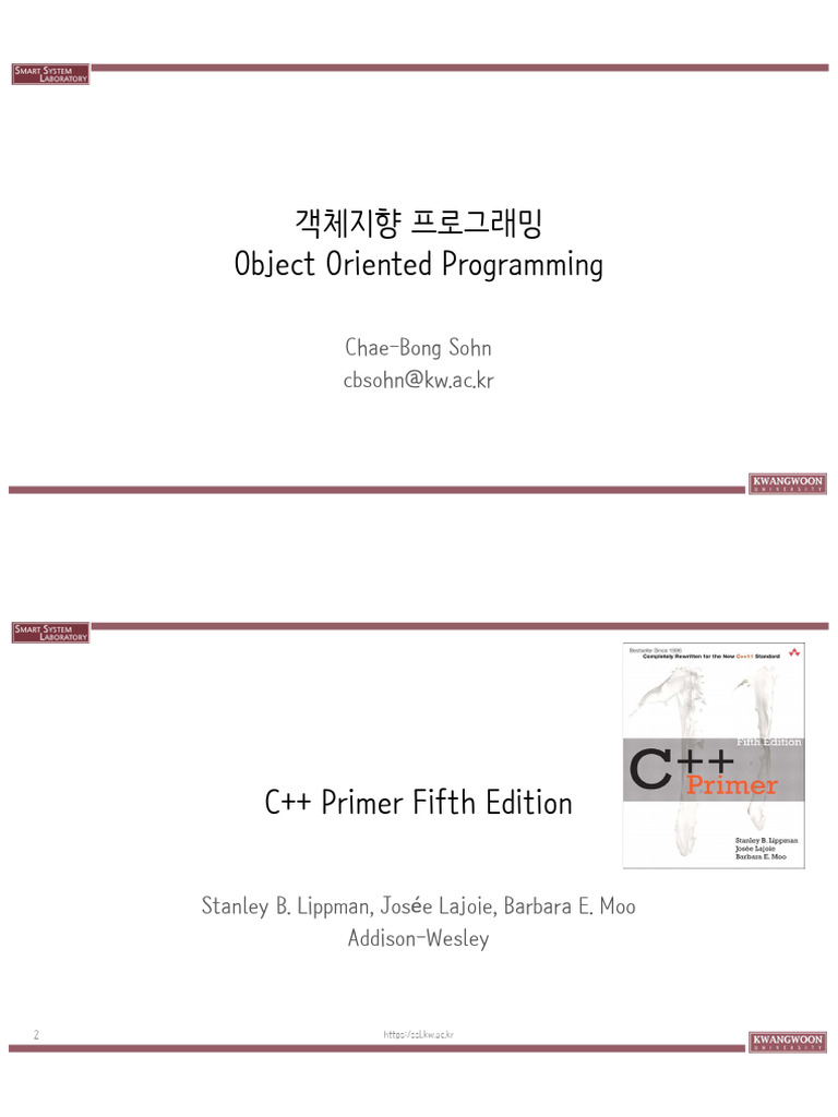 Oop04 Strings Vectors And Arrays Pdf Pointer Computer Programming String Computer Science