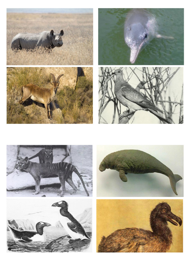 Top 10 Extinct Animals | PDF