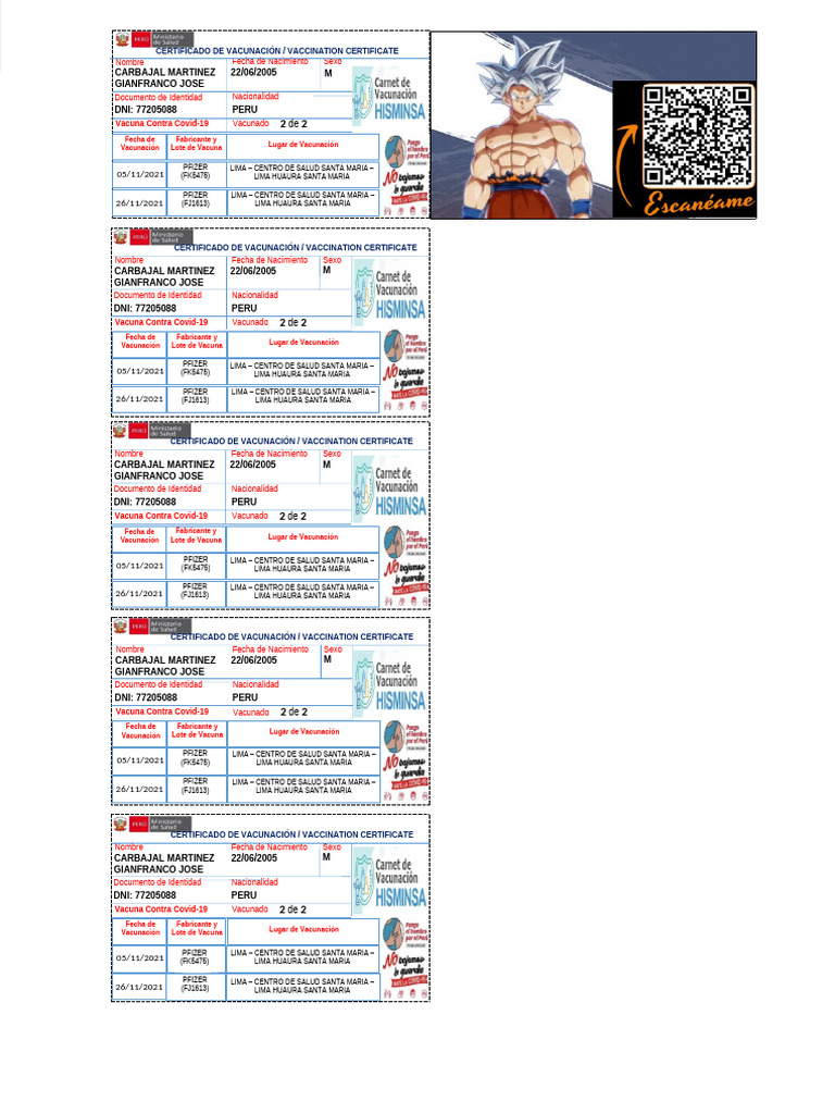 CARNET DE VACUNACION FOTOCHEK Con 2 Vacunas - VARIOS | PDF | Documento de identidad ...