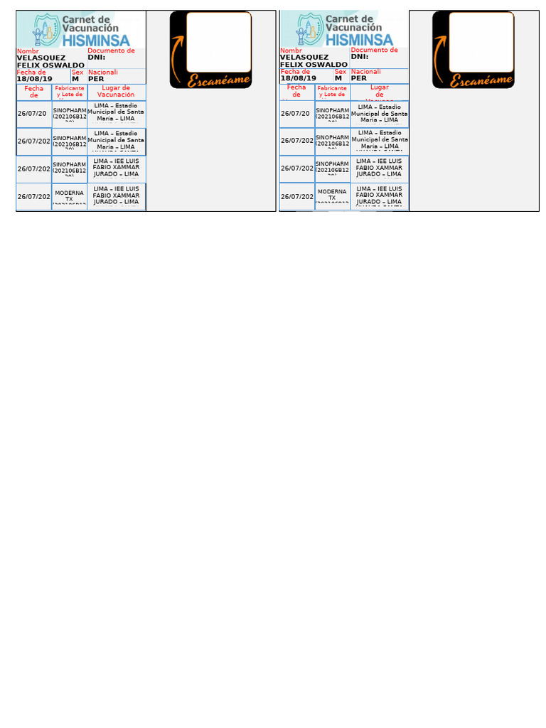 CARNET DE VACUNACION FOTOCHEK DE PIE Con 4 Vacunas | PDF