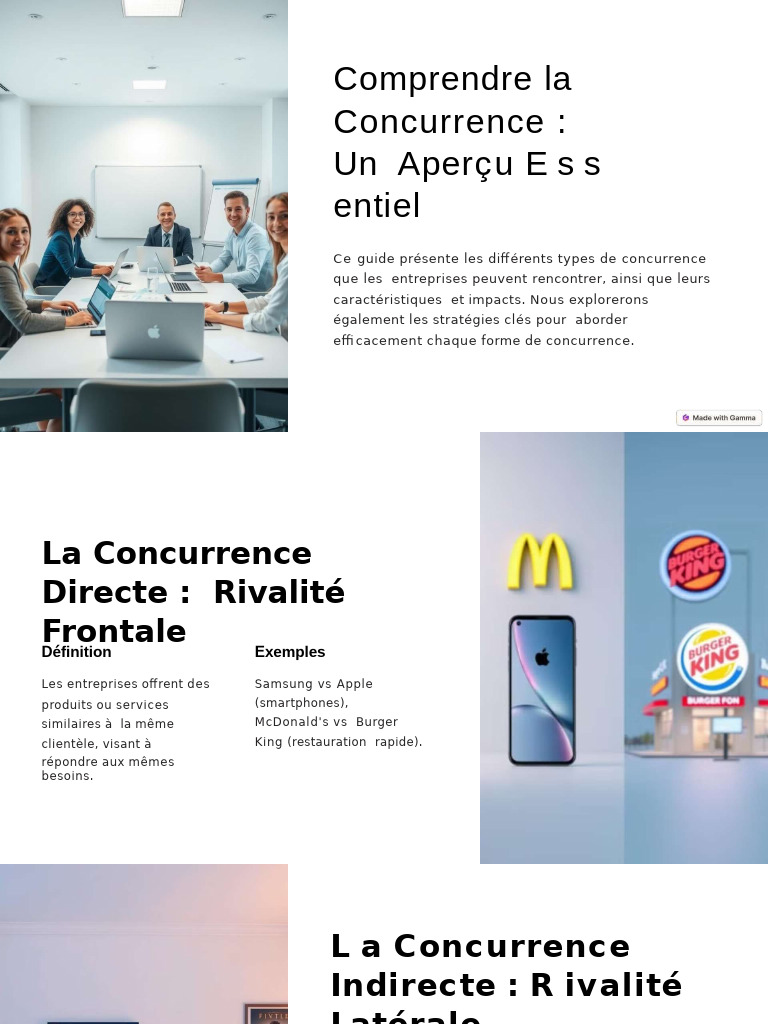 Types de Concurrence et Stratégies | PDF | Innovation | Transport