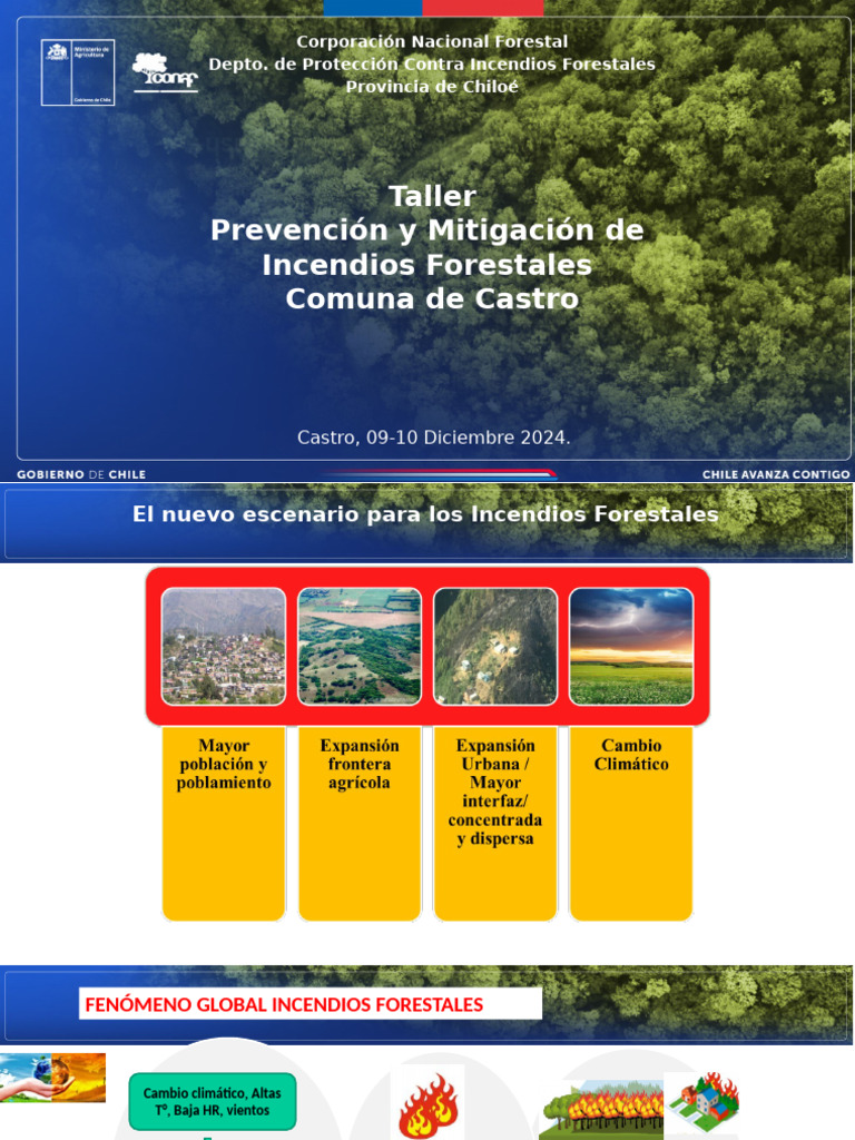 Taller Silvicultura Preventiva Prodesal | PDF | Fuego fatuo | Incendios