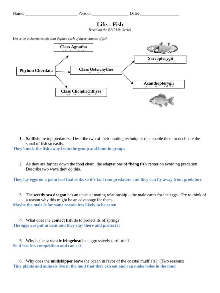 BBC Life - Fish2 | PDF | Fish | Zoology