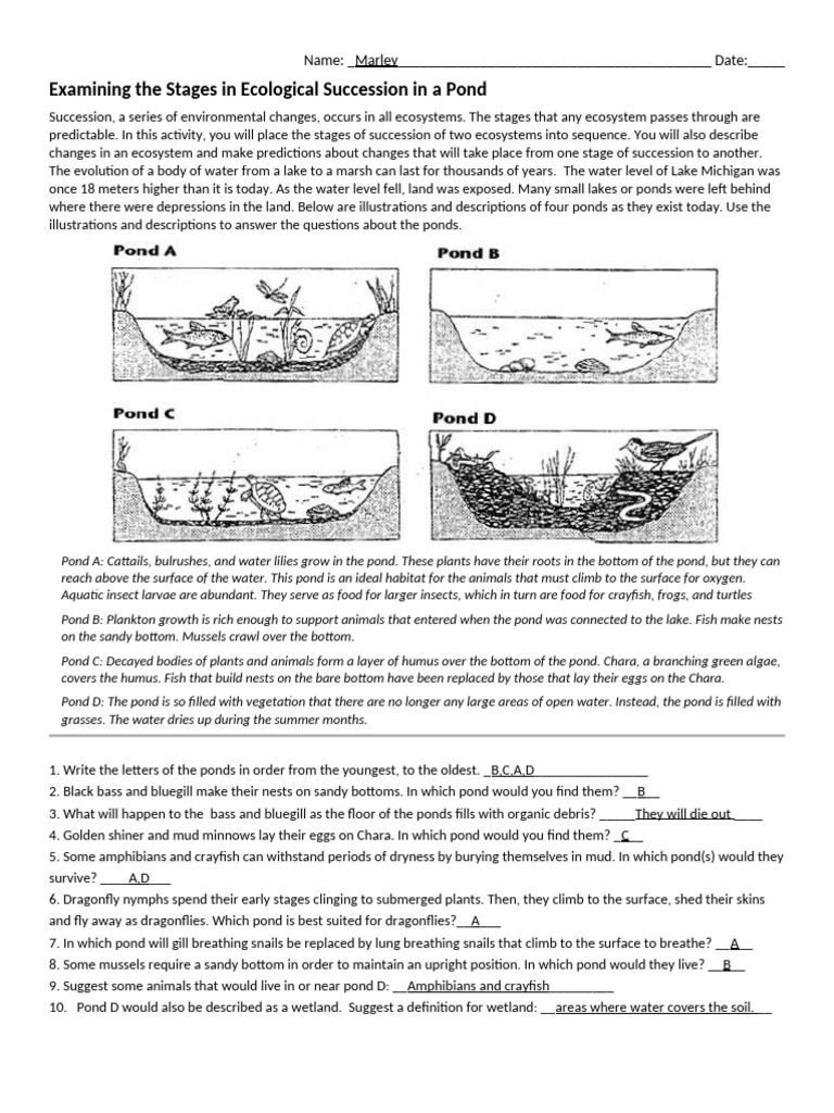 Examining The Stages in Ecological Succession | PDF | Pond | Trees