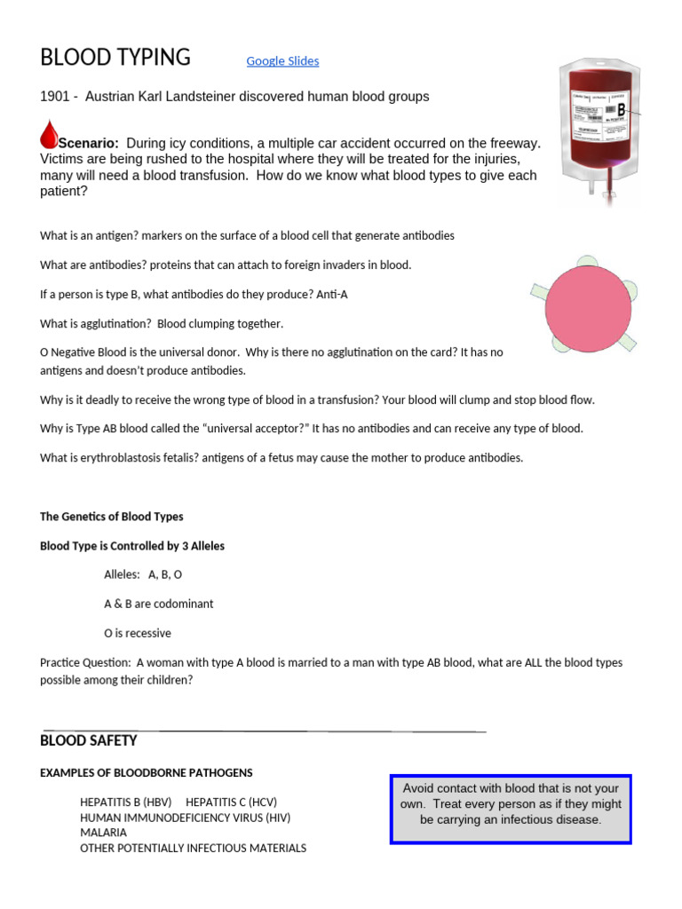 Blood Typing Slideshow Outline | PDF | Blood Type | Dominance (Genetics)