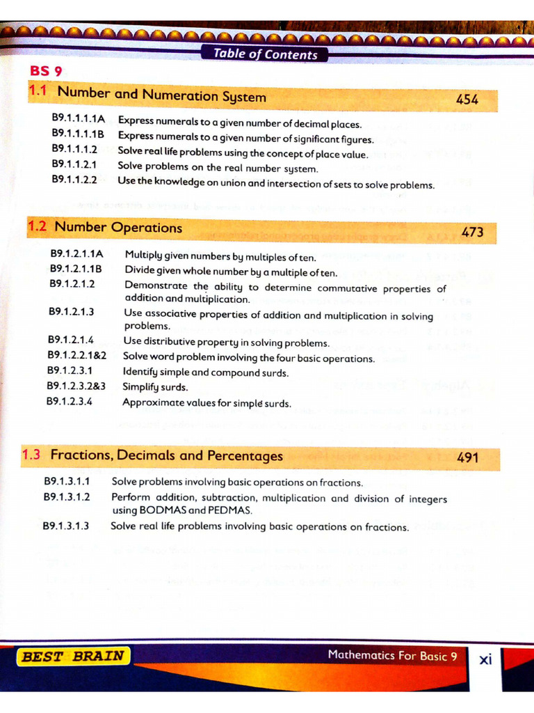 B9 Best Brain Mathematics | PDF