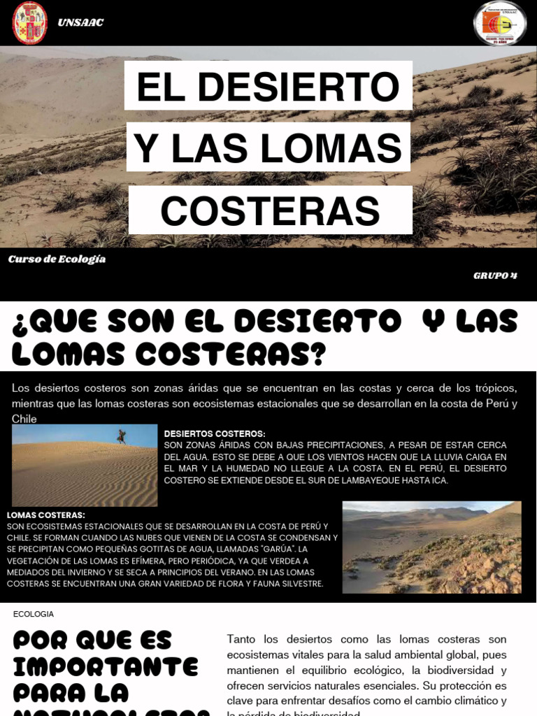 El Desierto y Las Lomas Costeras | PDF | Desierto | Ciencias de la Tierra