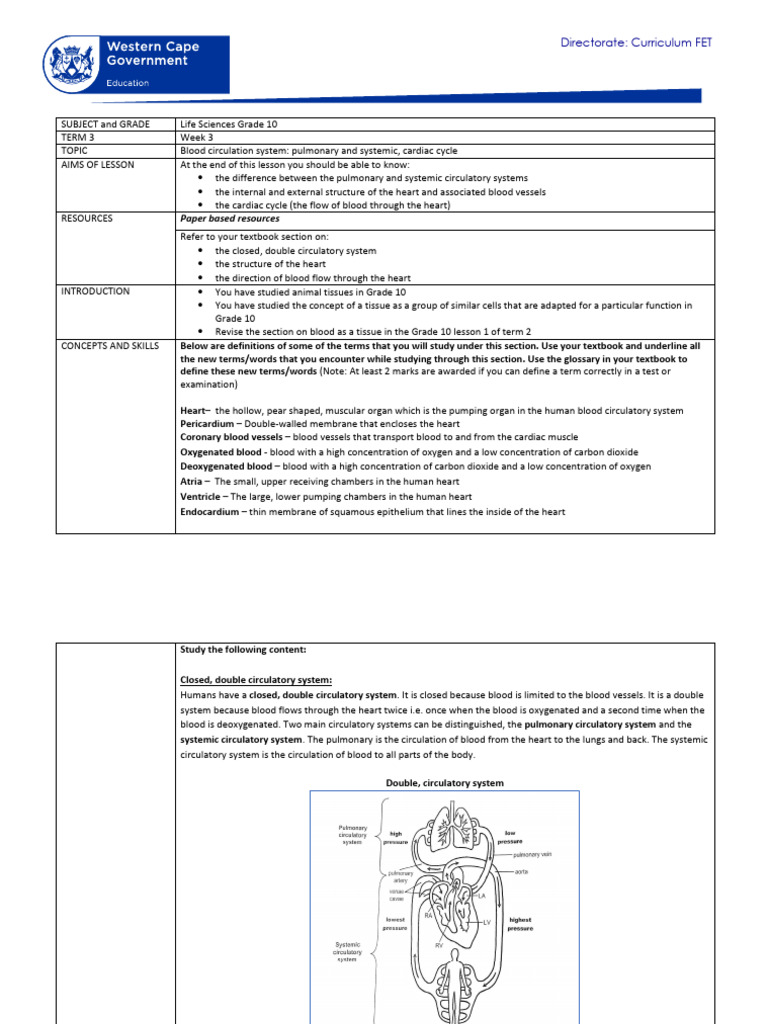 Life Sciences Grade 10 Term 3 Week 3_2020 | PDF | Heart Valve ...