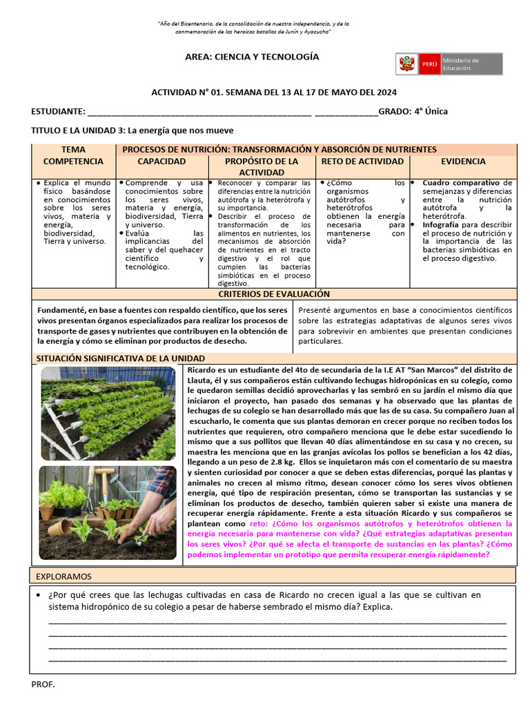 (PDF) 4°sec - UNIDAD 3 - ACTIVIDAD 1 (CyT Explica 2024) - Procesos de Nutrición Transformación ...