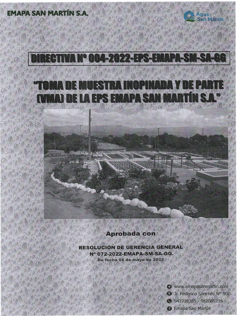 Directiva #004 - Toma de Nuestra Inopinada y de Parte (Vma) de La Eps Emapa San Martín S.A | PDF
