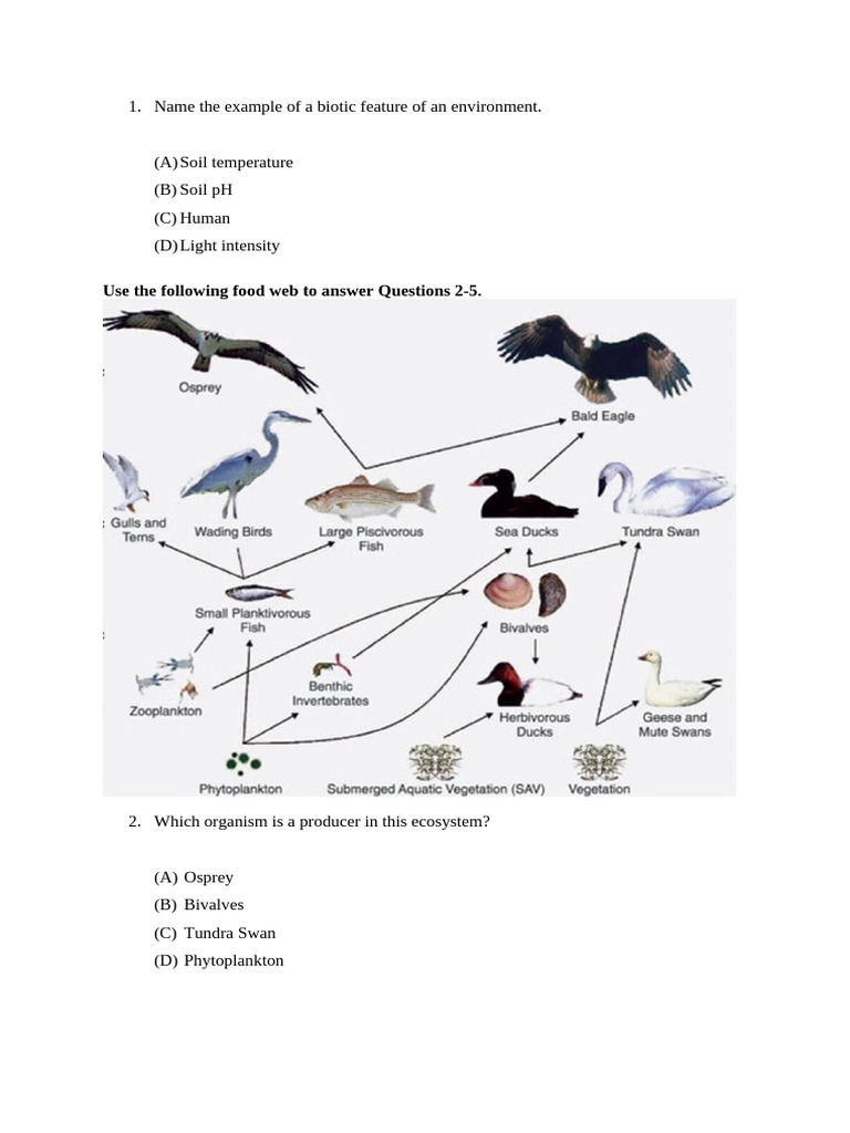 Joseph Bejjani - Coping with Change Past Paper Questions | PDF ...