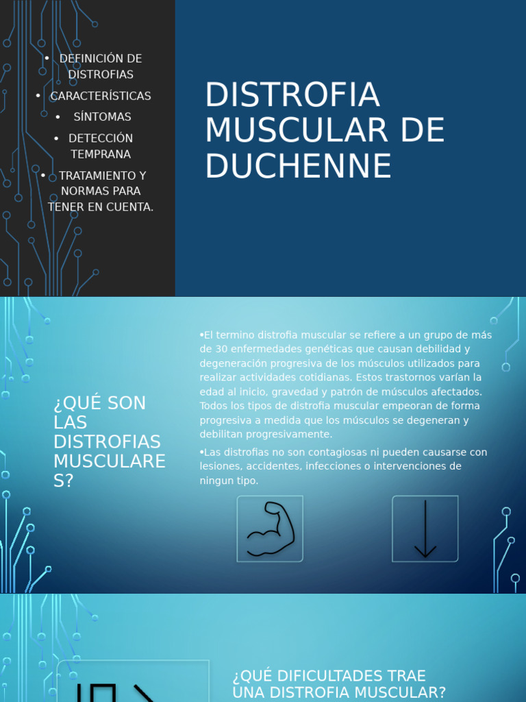 Distrofia Muscular de Duchenne | PDF | Músculo | Enfermedades y ...
