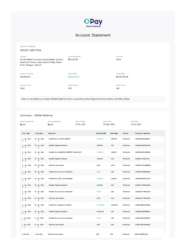 Detailed Account Statement Summary | PDF | Debits And Credits ...