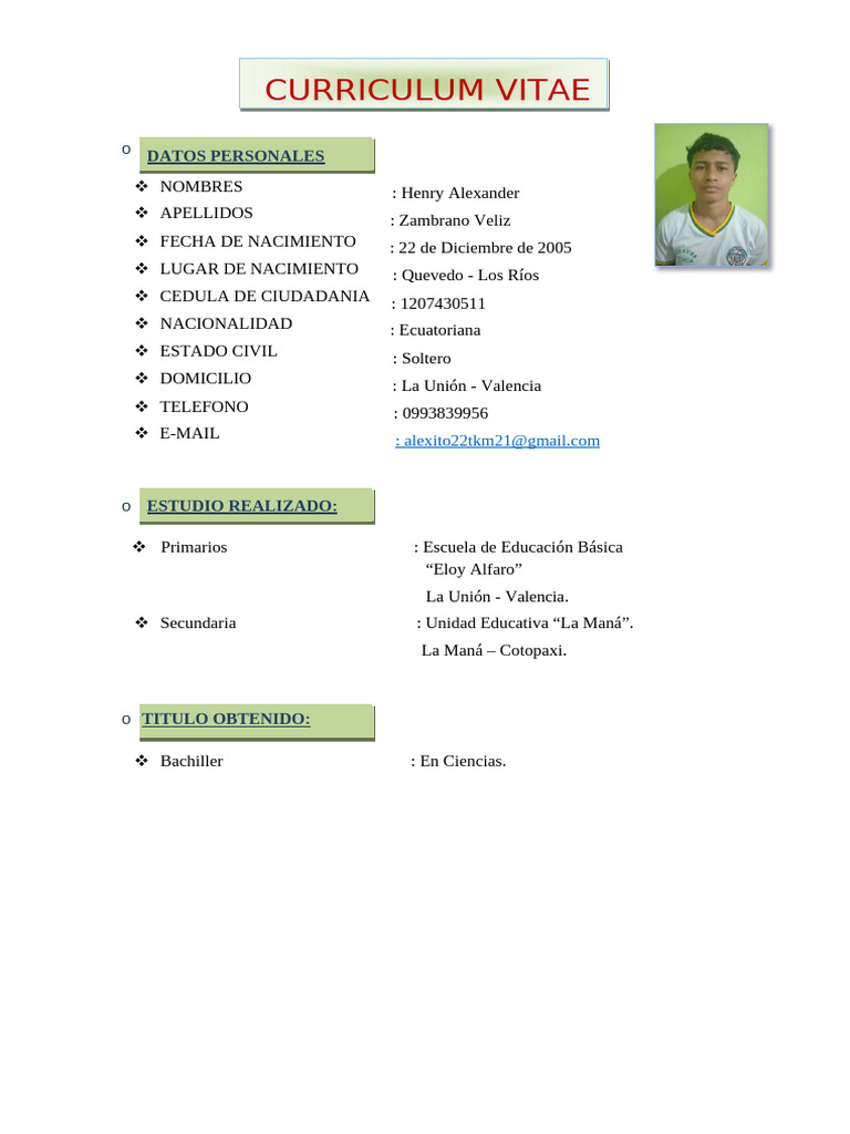 Curriculum Alex | PDF